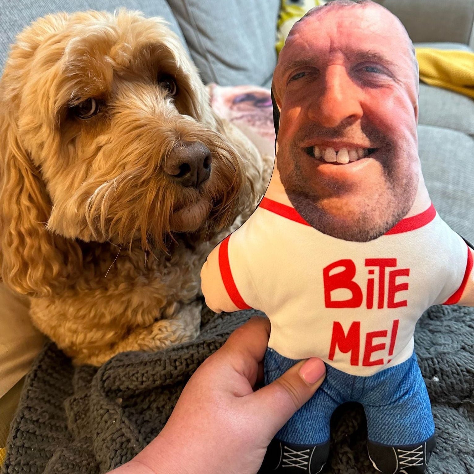 Bite Me! Dog Toy Face Pillow | Personalised Dog Toy – Snugzy